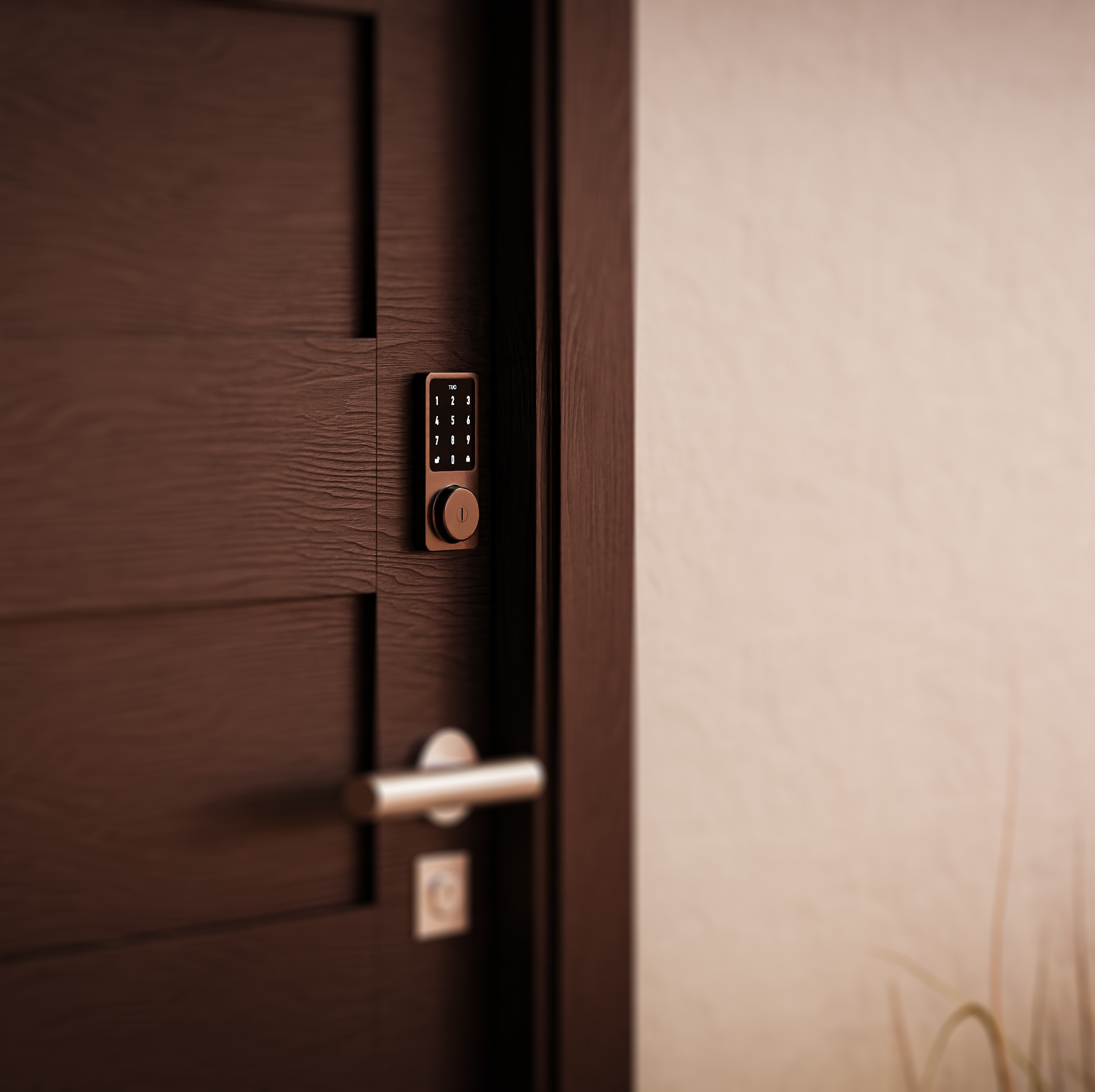 TUO Smart Lock with Apple Home Key – arre